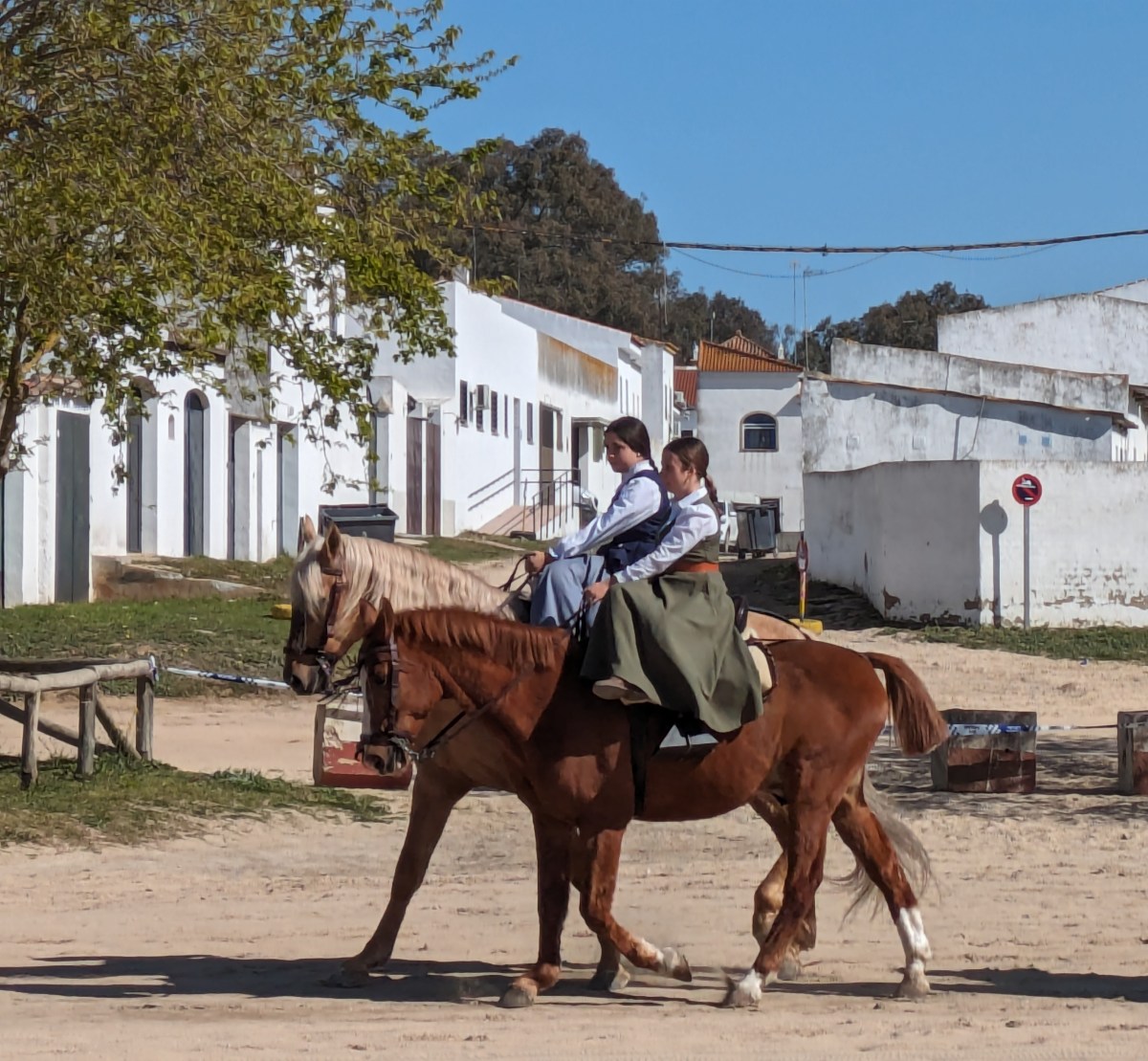 El Rocio – cowboys, wetlands & pilgrimages. – Our life in Spain